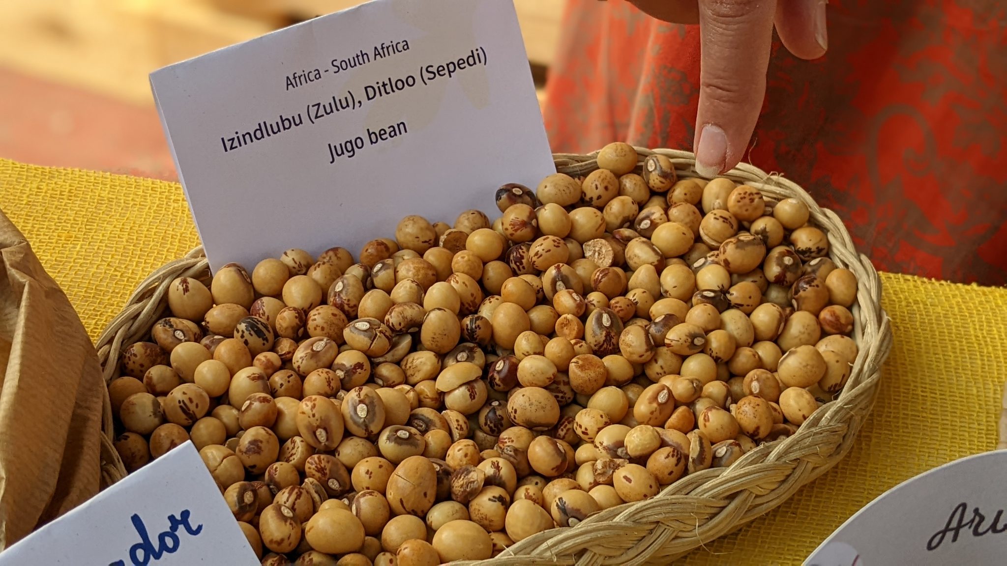 Behind the Seeds: Jugo Beans and Black Cowpeas with Melissa Le Court de Billot (South Africa ...